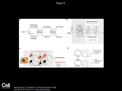 translational perspectives for computational neuroimaging ppt download