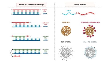 Graphical Representation Of Various Pna Design And Delivery Platforms