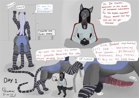 Thihars No Nut November Day 1 Initial Measurements By Gamal