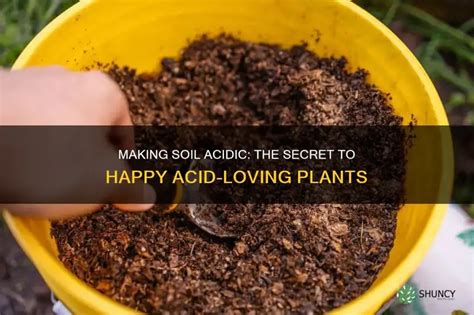 Making Soil Acidic The Secret To Happy Acid Loving Plants Shuncy
