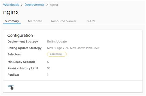 Debugging A Kubernetes Workload With Octant Tanzu