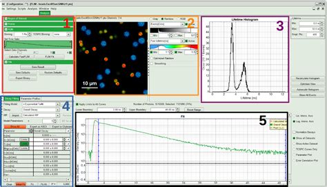Howtolifetime Fittingusingtherapidreconvolutionalgorithm Time