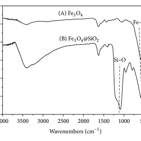 Tem Of Fe3o4 Fe3o4sio2 C8 And C8 Peg Download Scientific Diagram