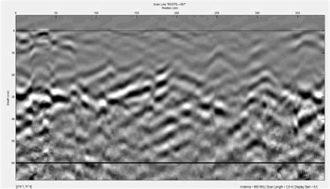 Figure 2 From Application And Algorithm Of Ground Penetrating Radar For Plant Root Detection A