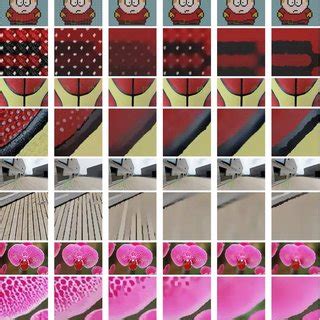 Comparison Of Different Texture Filtering Methods Download Scientific Diagram