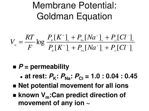 Ppt Neural Signaling The Membrane Potential Powerpoint Presentation