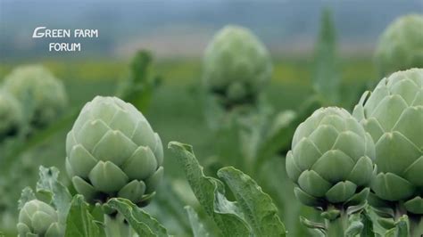 Hakim Uk Posted On Linkedin