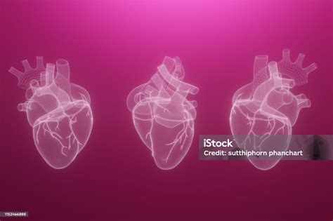 3d 와이어 프레임 하트 렌더링 고립 된 흰색 배경 추상 심장 아이콘 모양 라인 및 삼각형 파란색 배경 3d 렌더링에 네트워크를