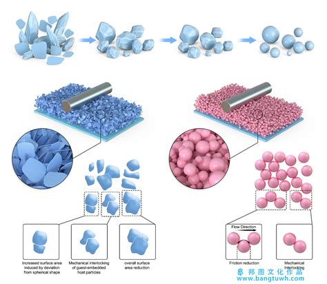 Sci论文流程图 邦图科研绘图 邦图文化 站酷zcool