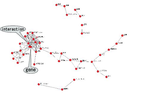 An Ç network with a social network where the relationship is Download Scientific Diagram