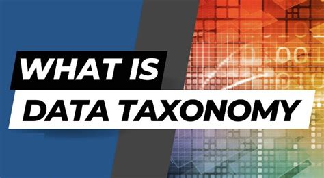 What Is Data Taxonomy Feras Mahmoud Posted On The Topic Linkedin