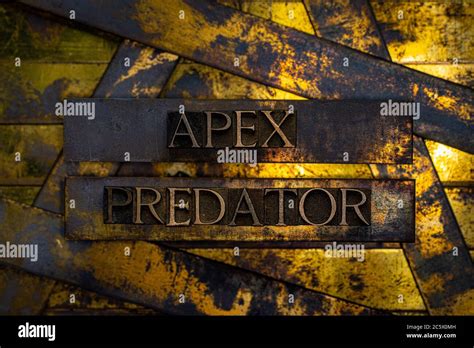 apex predator text formed with real authentic typeset letters on