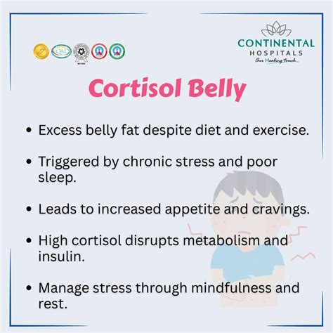 Cortisol Belly Fat Signs And What Triggers It