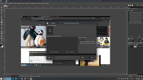 Cómo Instalar Plug Ins A La Versión Flatpak De Gimp Y Poder Usar
