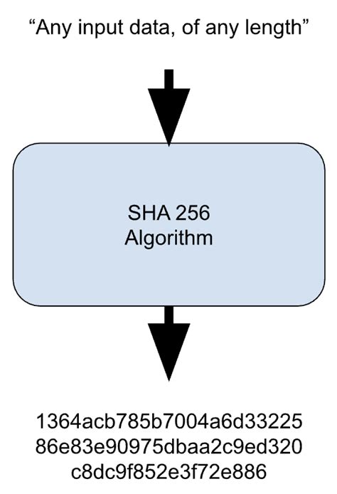 SHA And Bitcoin Exploring The Backbone Of Cryptocurrency Security Stormrake