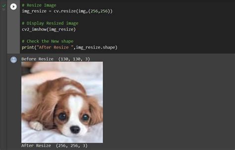 Image Processing Using OpenCV Shiksha Online