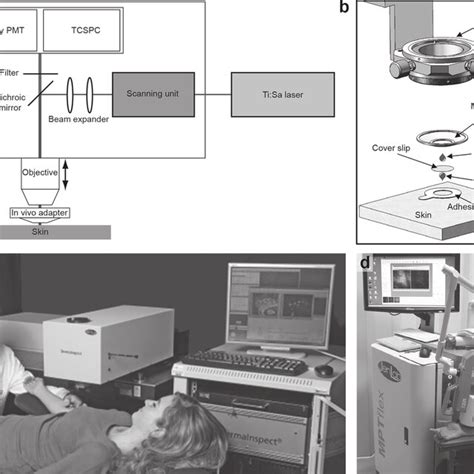 1 Multiphoton Tomographs For In Vivo Application A Schematic Download Scientific Diagram