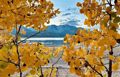 Fall 🍁🍂 R Tahoe