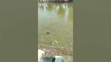 Devari Temple Youtube