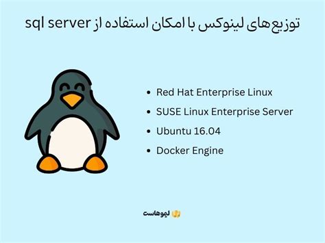 Sql Server چیست و چه تفاوتی با Mysql دارد؟ مزایا و معایب