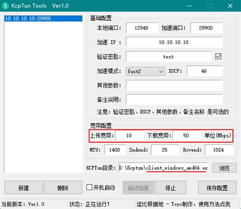 小内存福音Kcptun Shadowsocks加速方案 一只北极熊