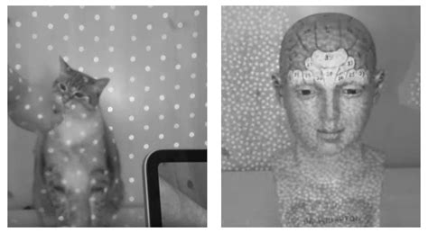 How Apples Lidar Sensor Differs From The One On Its Truedepth Face