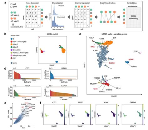 Single Cell Rna Seq Analysis Of The 10x Pbmcs Dataset Using Simba A