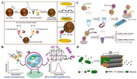 Biosensors Special Issue Advances In Magnetic Particle Based Bioassays