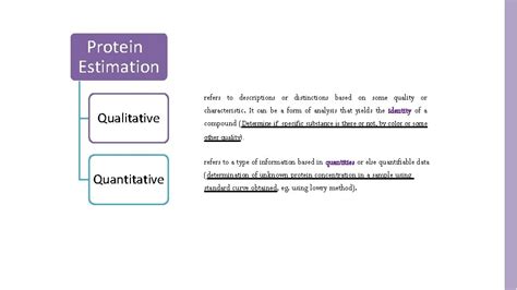 Quantitative Proteins Estimation By Lowry Method Protein Estimation