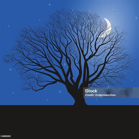 Tree Silhouette And Night Stock Illustration Download Image Now