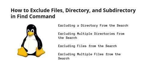 How To Exclude A Directory In Find Command Tuts Make
