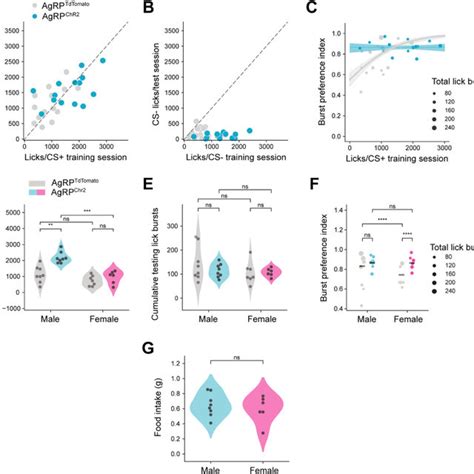 Binomial Regression Modeling Reveals Sex Differences In The Effect Of