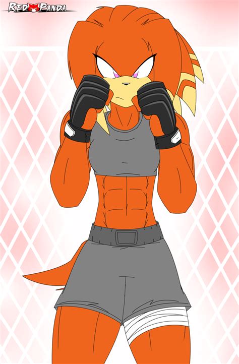 65730 Safe Artistredpandafennec Artistvolksgtifox Shade The Echidna Sonic Echidna