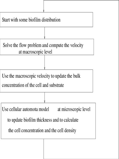 Flow Chart Of The Hybrid Model Download Scientific Diagram