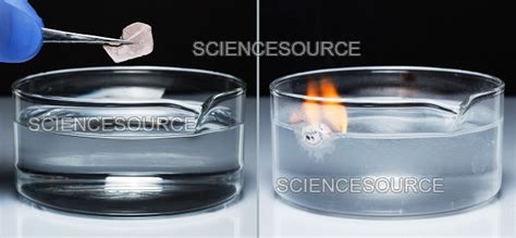 Sodium Reacts With Water Stock Image Science Source Images