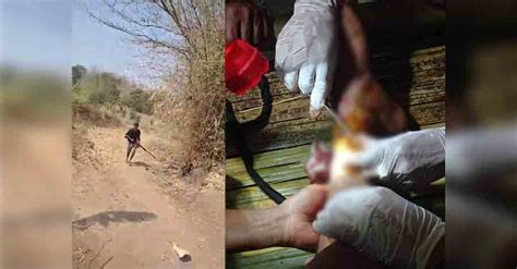 ကြို့ပင်ကောက်တွင် စစ်ကောင်စီလက်နက်ကြီးကြောင့် တော်လှန်ရေးရဲဘော် ၄ ဦး ဒဏ်ရာရ