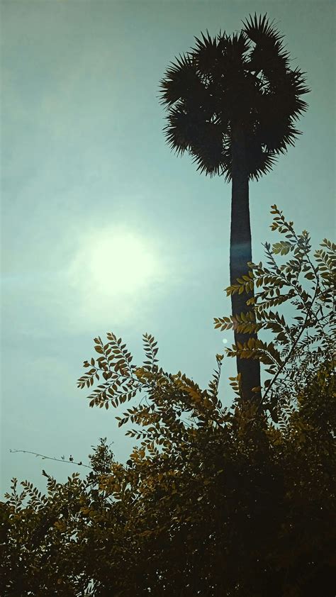 gowthaman murugan photography