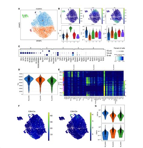 Scrna Seq Analysis Of A Cells In Nod Mice A Dot Plot Transcriptional Download Scientific