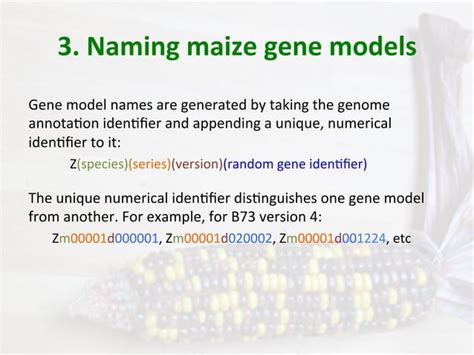 AgBioData Genome Nomenclature PDF
