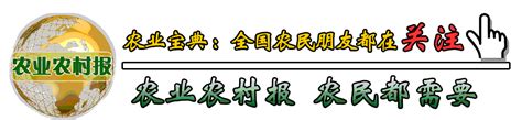 「今日糧價」5月20日 全國玉米價格行情！（玉米價格早知道） 每日頭條