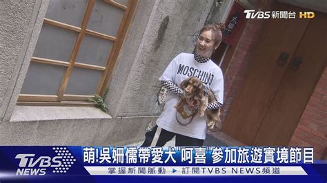 萌吳姍儒帶愛犬「呵喜」參加旅遊實境節目｜tvbs新聞 萌寵明星粗乃玩 Youtube