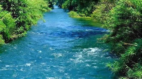 평화로운 강물 흐르는 물 소리 잔잔한 강물 편안한 자연의 소리 휴식을 취할 수 있는 놀라운 장소 [휴식 명상 수면