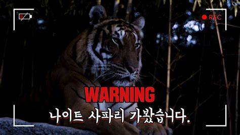 야생 세계 나이트 사파리트램 이런 느낌 에버랜드 사파리월드 Everland Safari World