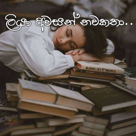 ලියා අවසන් නවකතා