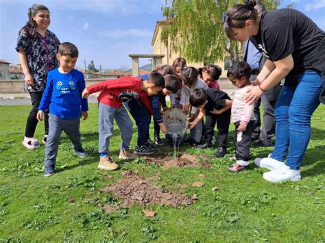 Новини ДЛС Тополовград ЮИДП Югоизточно Държавно Предприятие ДП