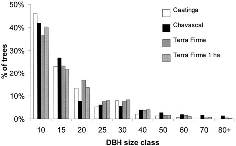 Distribution Of Trees According To Dbh Size Classes In The Different Download Scientific