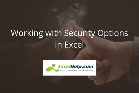 Working With Security Options In Excel Excel Help