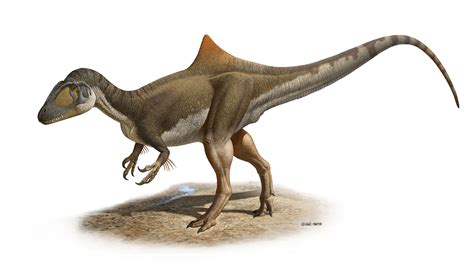 The Top 10 Weird Dinosaurs