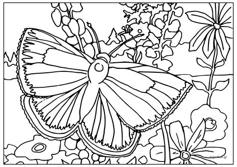 Τα πιο καλαίσθητα Δωρεάν Φύλλα Εργασίας για παιδιά Zografies Gr