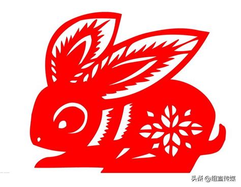 兔年說兔話吉祥 每日頭條